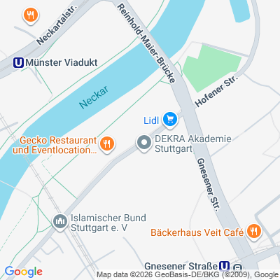 Google maps preview image