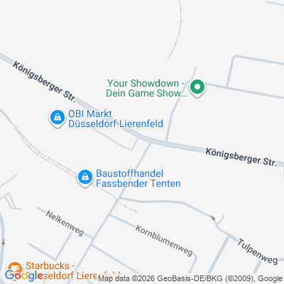 Google maps preview image