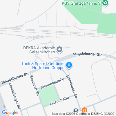 Google maps preview image