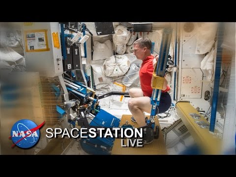 Astronauts Daily Routine