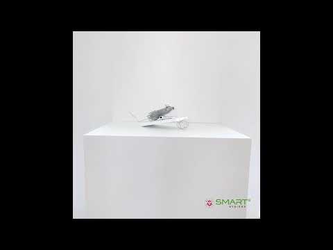 CANCOM Austria smART Walk