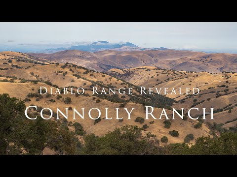 Connolly Ranch Natural Beef - Family Owned Cattle Ranch