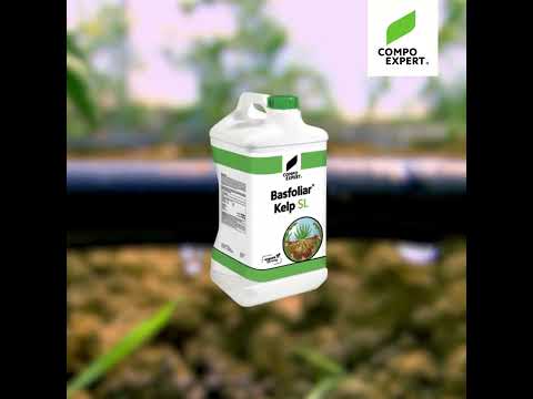 Basfoliar® | COMPO EXPERT