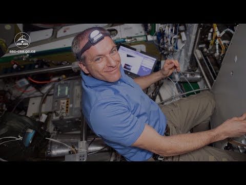 Astronauts Daily Routine